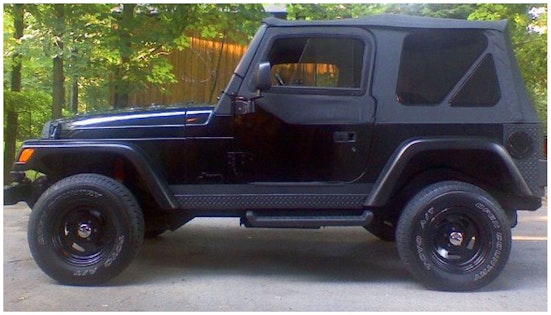 Bushwacker 14002 Trail Armor Side Rocker Panel