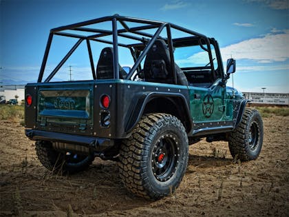 Poison Spyder 13-19-020 Lazer-Fit Cage Kit