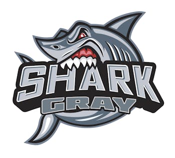 PROFORM 141-881 Chevrolet & Bowtie Emblem S/B Stamped Valve Covers ...